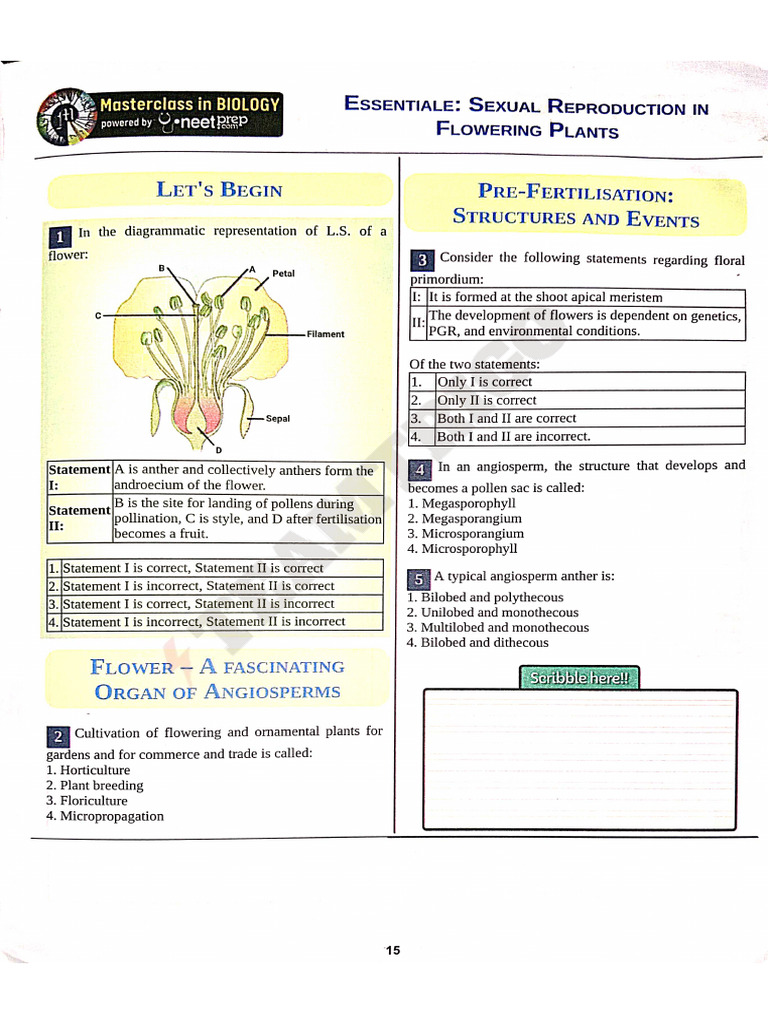 Masterclass Bio Class 11-12 | PDF