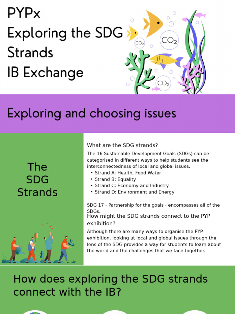PYP 6 1 8 Presentation Exploring The SDG Strands | PDF | Sustainable ...