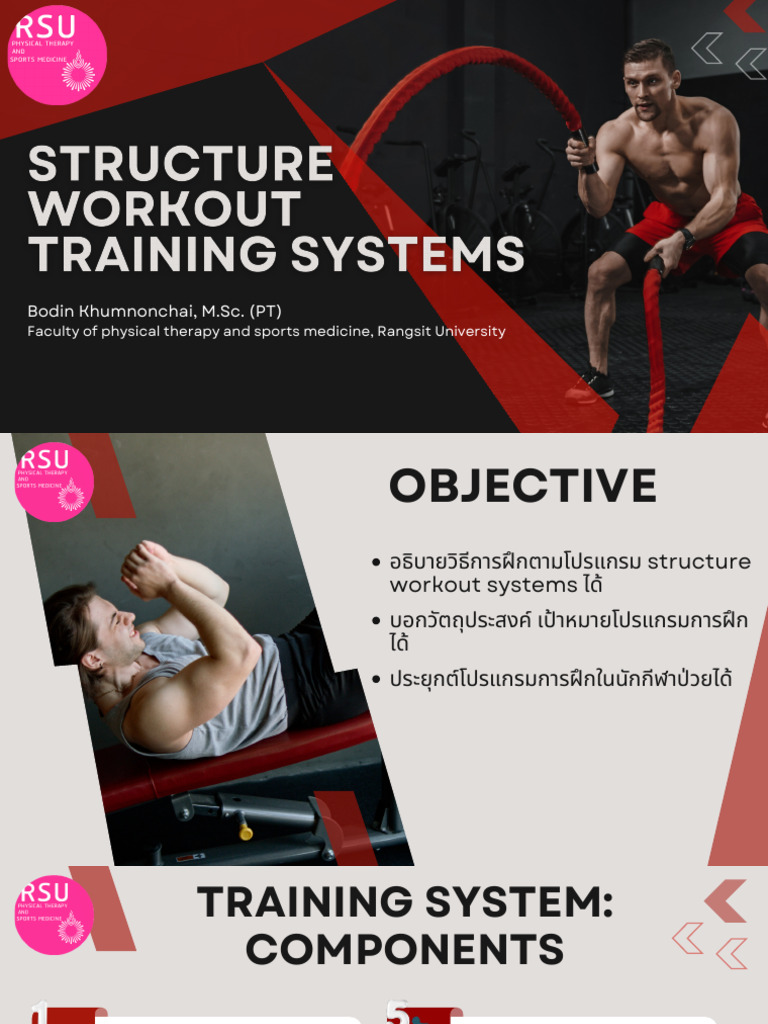 484 - Structure Workout Training Systems | PDF | Muscle Hypertrophy | Skeletal Muscle