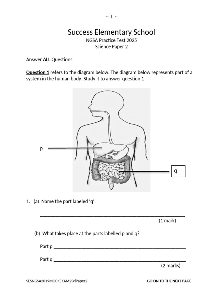 NGSA Practice Test 2025 Science Paper 2 29th March 2025 | PDF | Flowers