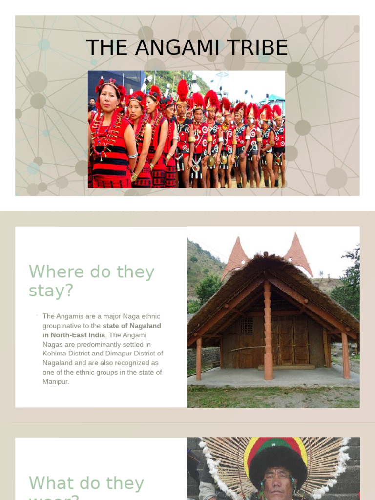 The Angami Tribe | PDF