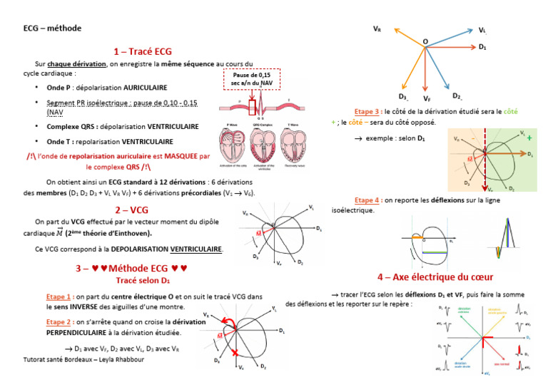 Fiche ECG2 | PDF | Électrocardiographie | Théories de médecine