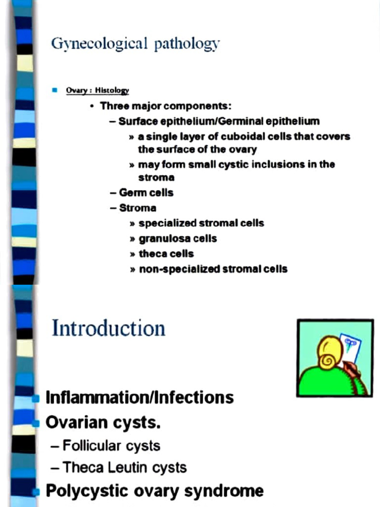 Gynecological Pathology | PDF
