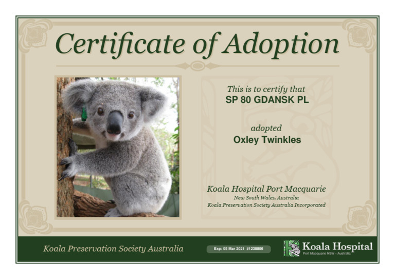 Koala Adoption Certificate-38 | PDF