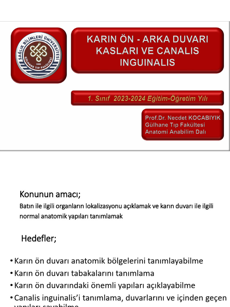 GTF Sınıf 1 Kurul 3 2024 03 20 Saat 3,4 NKocabıyık Karın Ön Arka | PDF