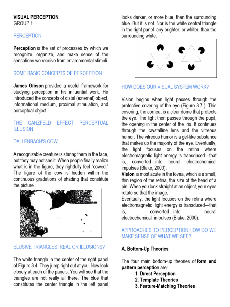 Understanding Visual Perception Concepts | PDF | Perception | Attention