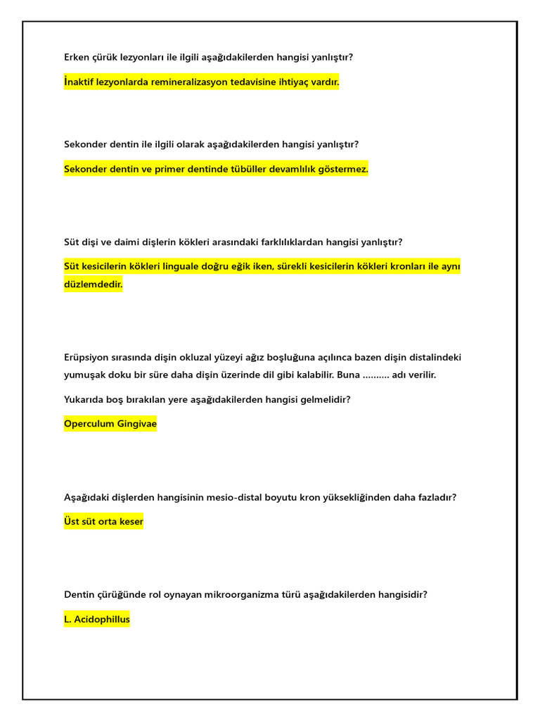 3.sınıf Vize | PDF