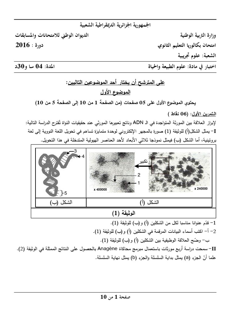 Dzexams Bac Sciences 2586794 | PDF