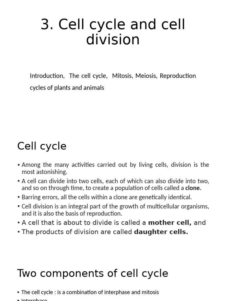 Cell Cycle and Cell Division. | PDF | Meiosis | Mitosis