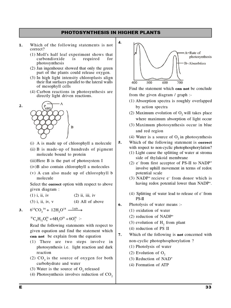photosynthesis_test | PDF | Photosynthesis | Photodissociation