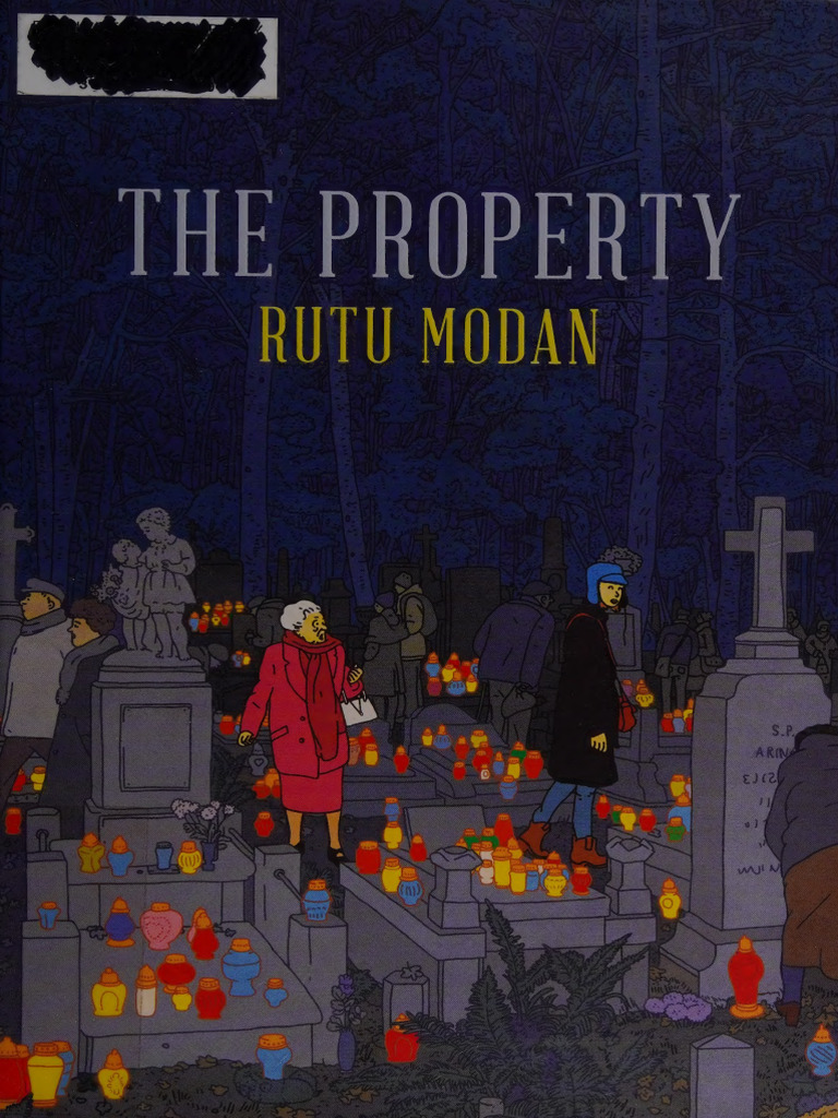 The Property -- Rutu Modan -- Lightning Source Inc_ (Tier 1), La Vergne ...