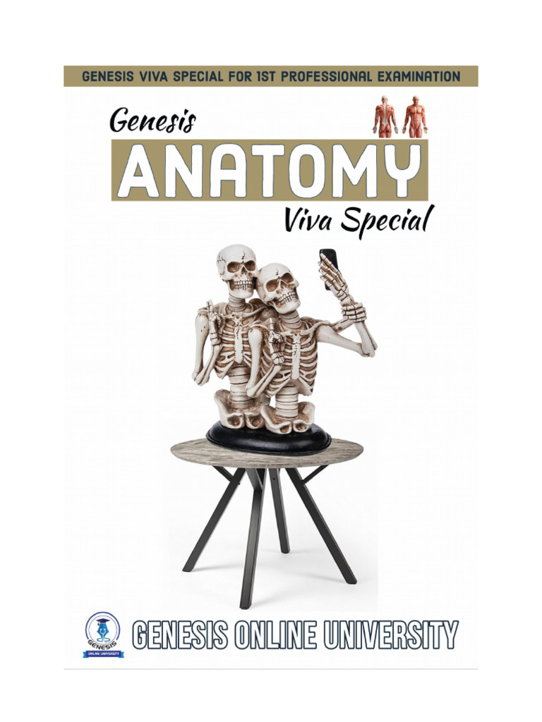 Anatomy Guide: Genesis VIVA Special | PDF | Vertebra | Cerebrospinal Fluid