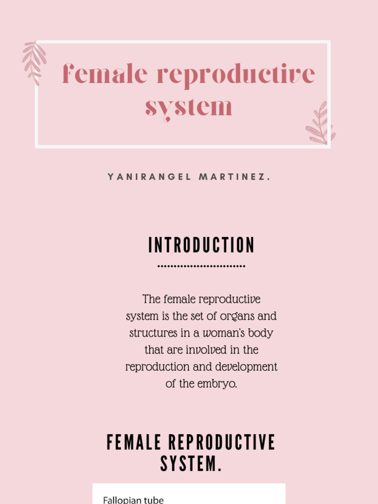 Overview of Female Reproductive System | PDF