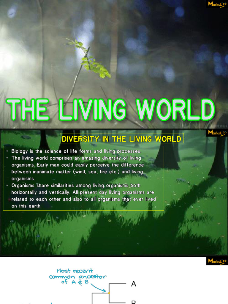 The Living World | PDF