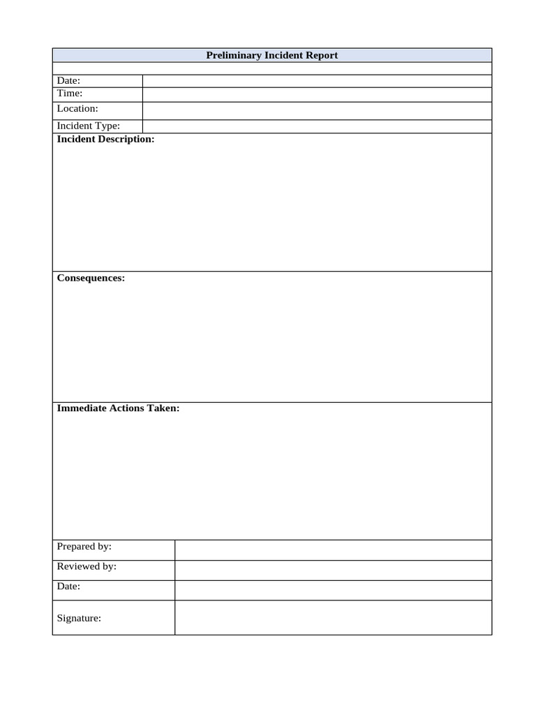 Preliminary Incident Report Summary | PDF