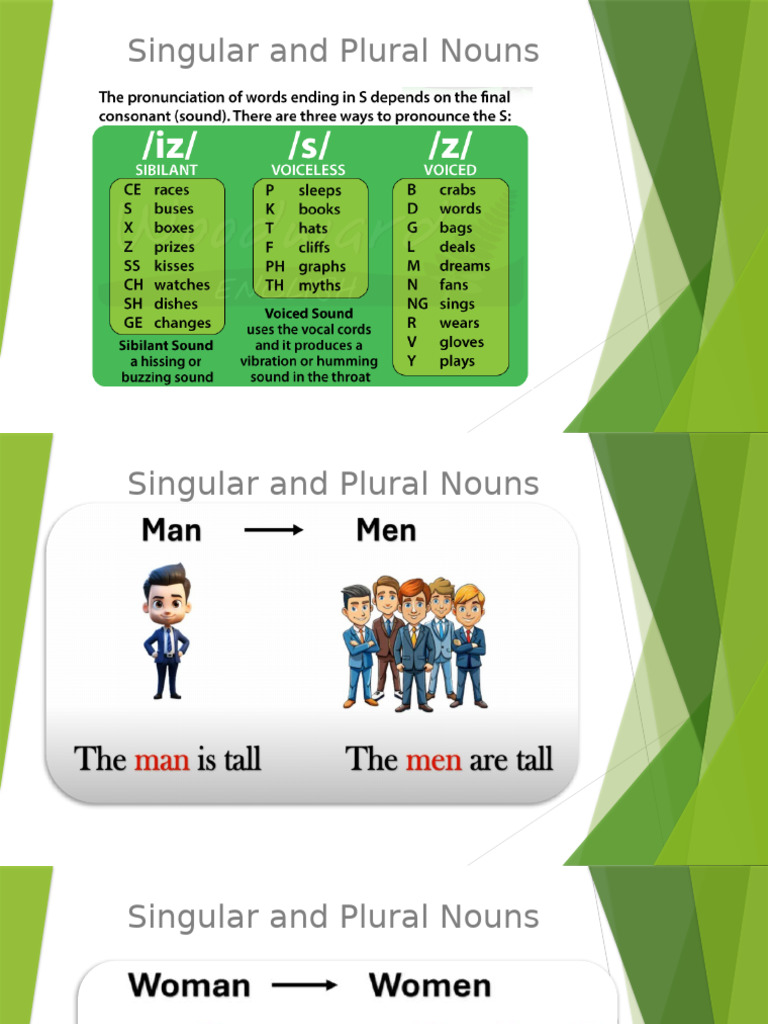 Singular and Plural Nouns | PDF