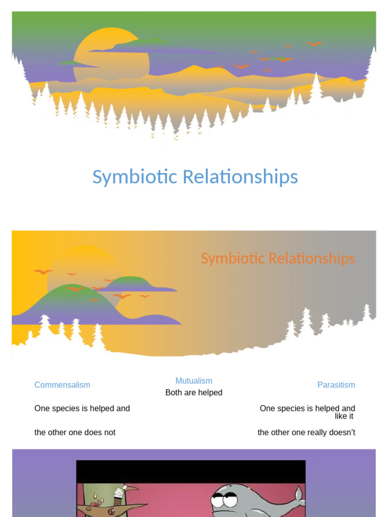 Symbiotic Relationships Powerpoint PDF | PDF
