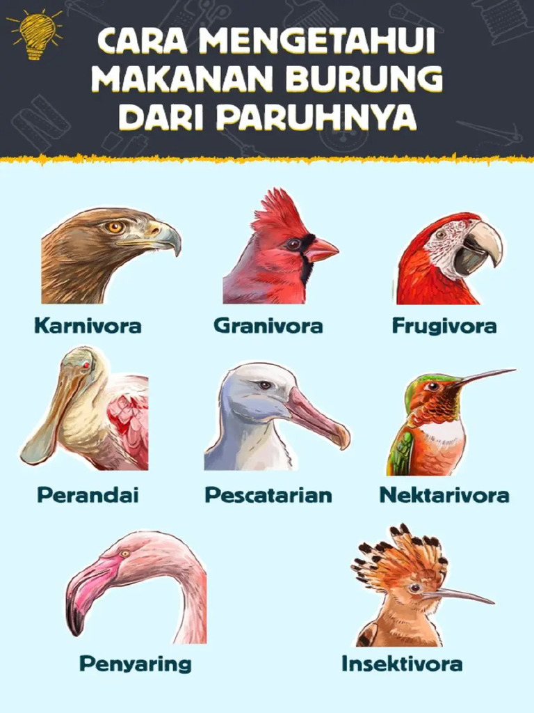 Jenis Paruh Burung | PDF