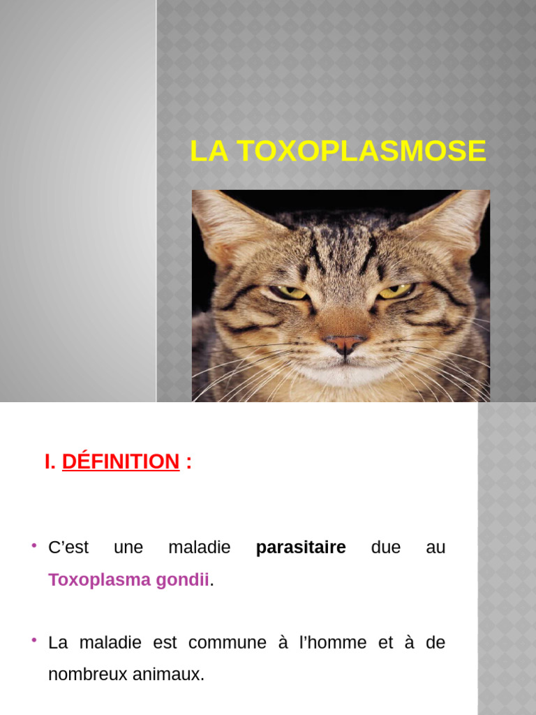Comprendre la toxoplasmose : symptômes et traitement | PDF