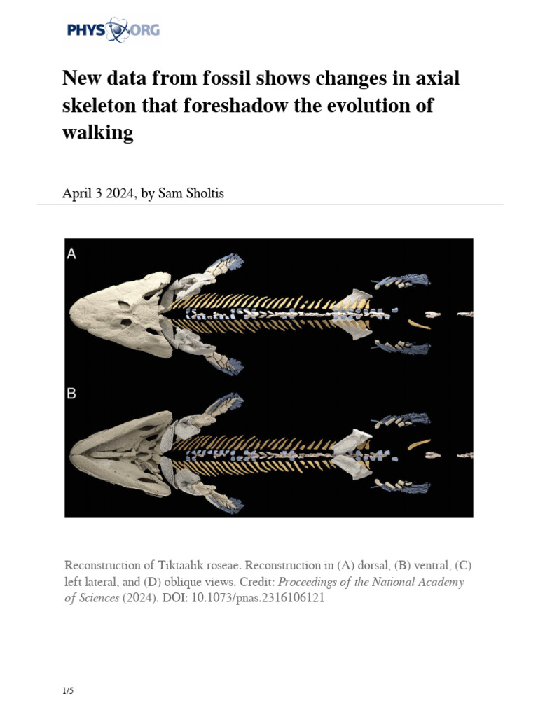 2024 04 Fossil Axial Skeleton Foreshadow Evolution | PDF ...