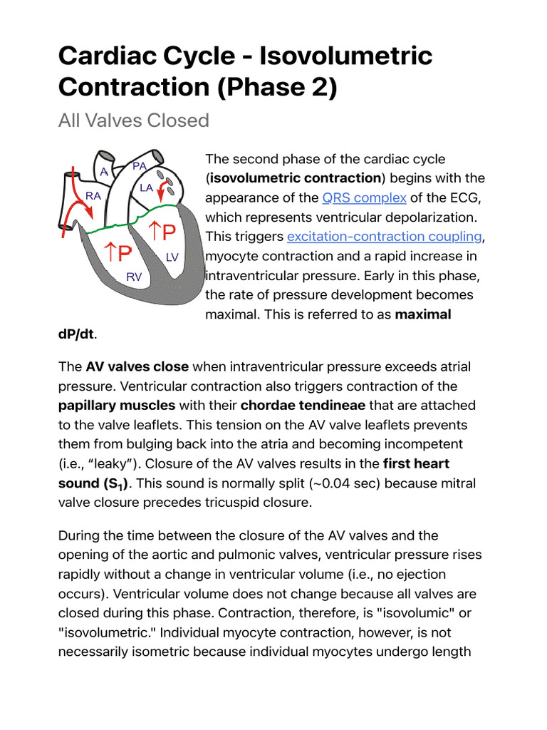 Isovolumetric Contraction in Cardiac Cycle | PDF | Heart Valve ...