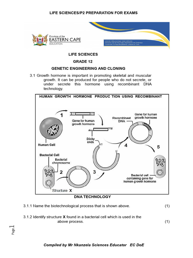 Genetic Engineering &cloning | PDF | Recombinant Dna | Natural Selection