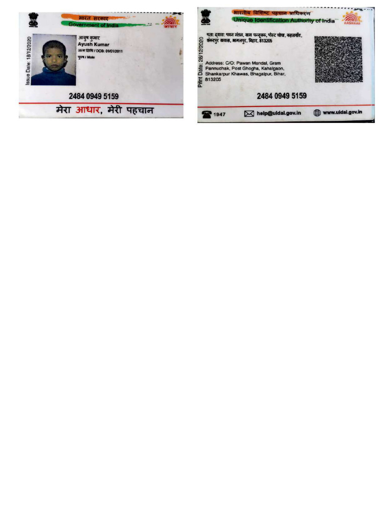 Ayush Compressed | PDF