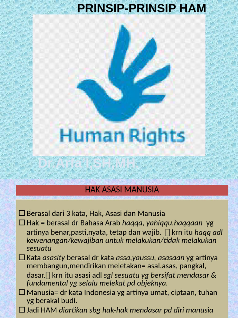 Prinsip-Prinsip Hak Asasi Manusia | PDF