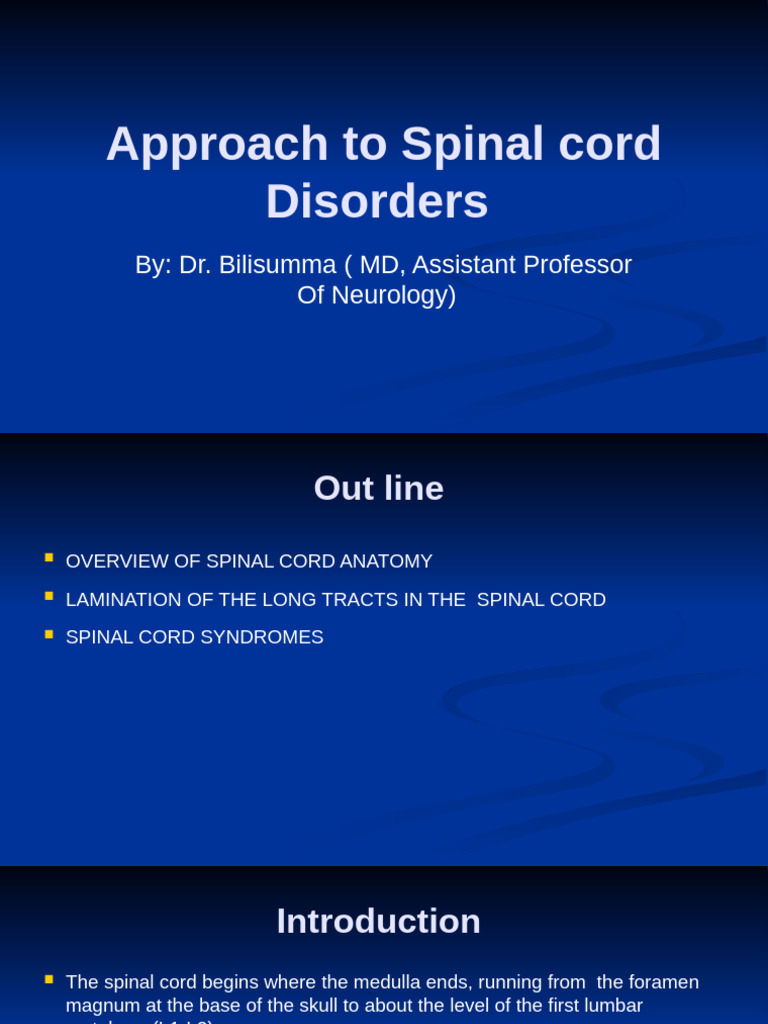 Approach to Spinal cord Disorders | PDF | Vertebral Column | Spinal Cord