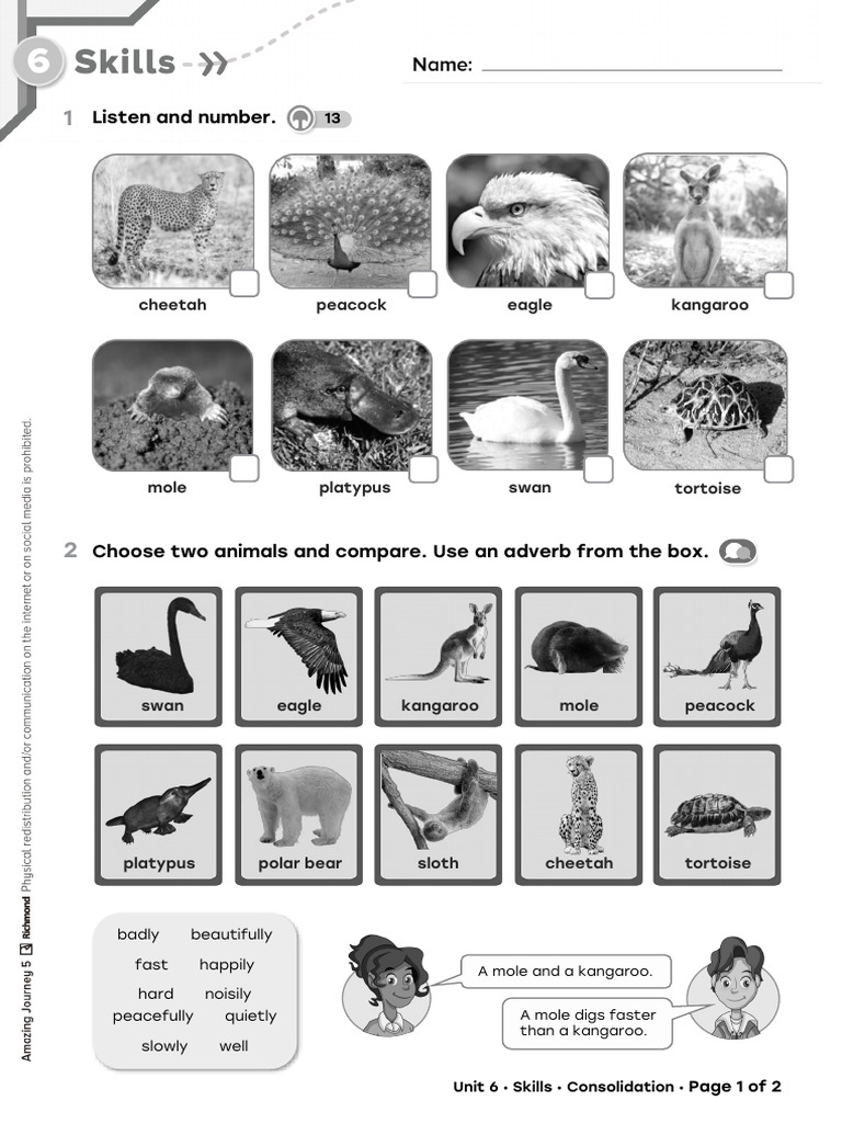 Amazing Journey 5 Unit 6 Skills Consolidation | PDF