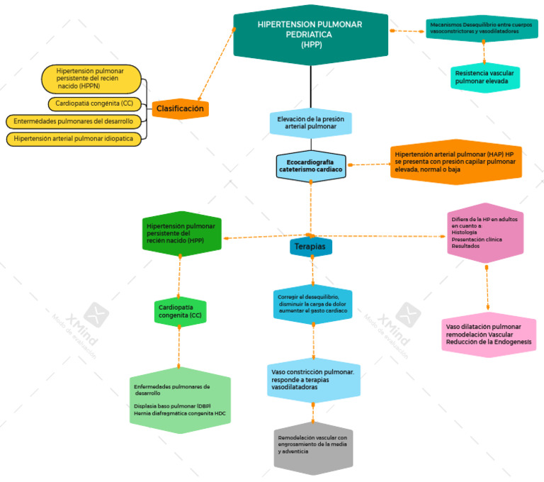 Hipertension Pulmonar Pedriatica (HPP) | PDF | Hipertensión ...