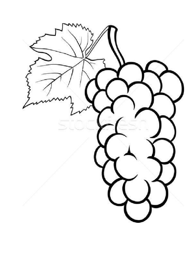 De Colorat 2 | PDF