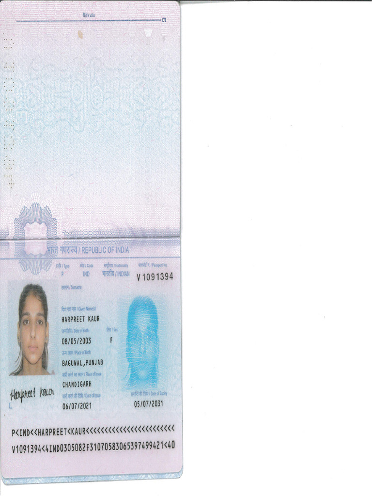 Passport | PDF
