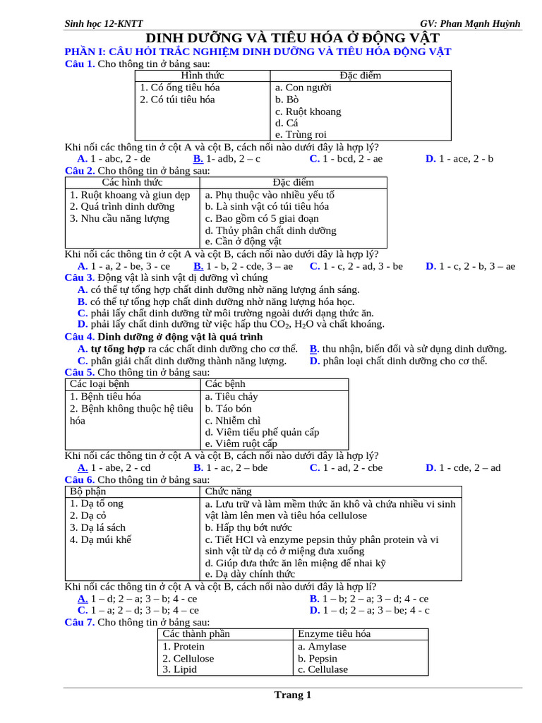 Trac Nghiem Sinh Hoc 11 | PDF