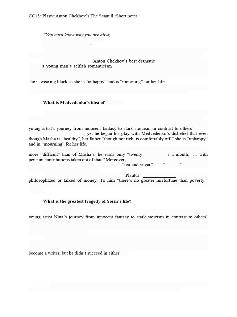 Seagull Short Questions Final | PDF | Anton Chekhov
