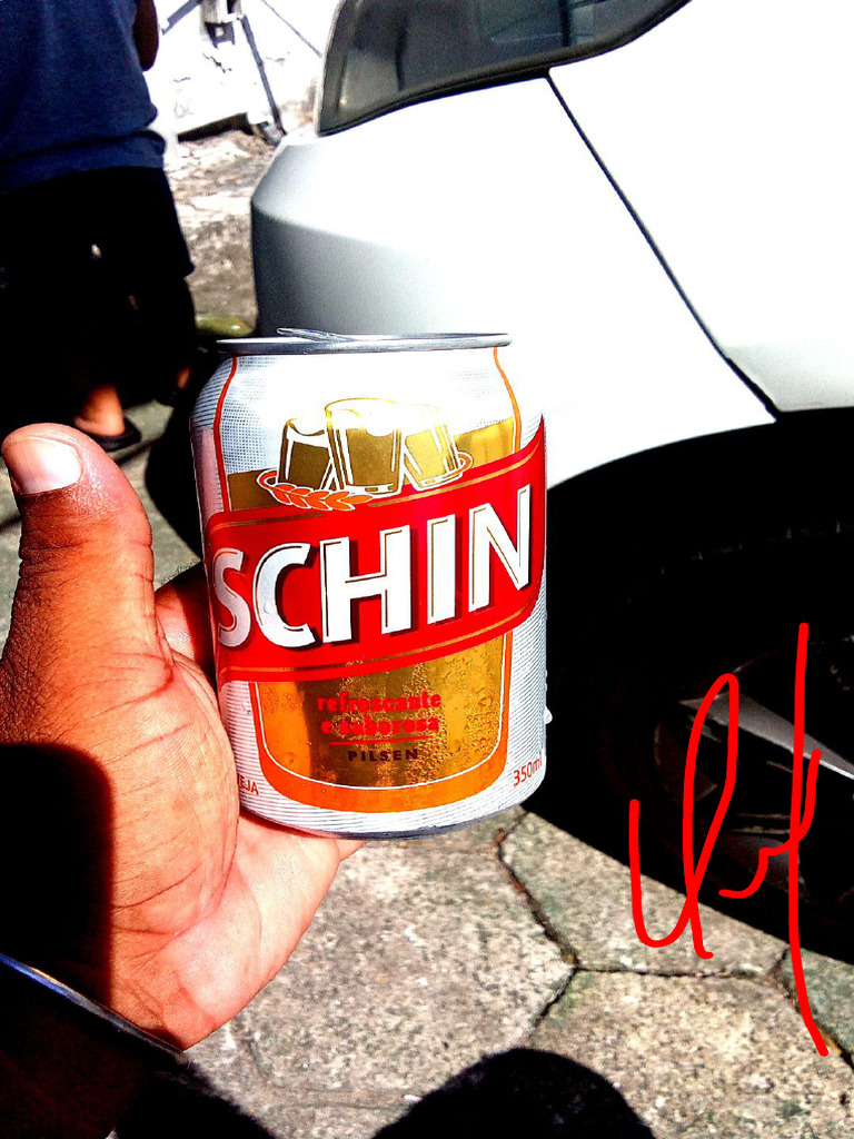 PDFReader 20250403 1951 | PDF