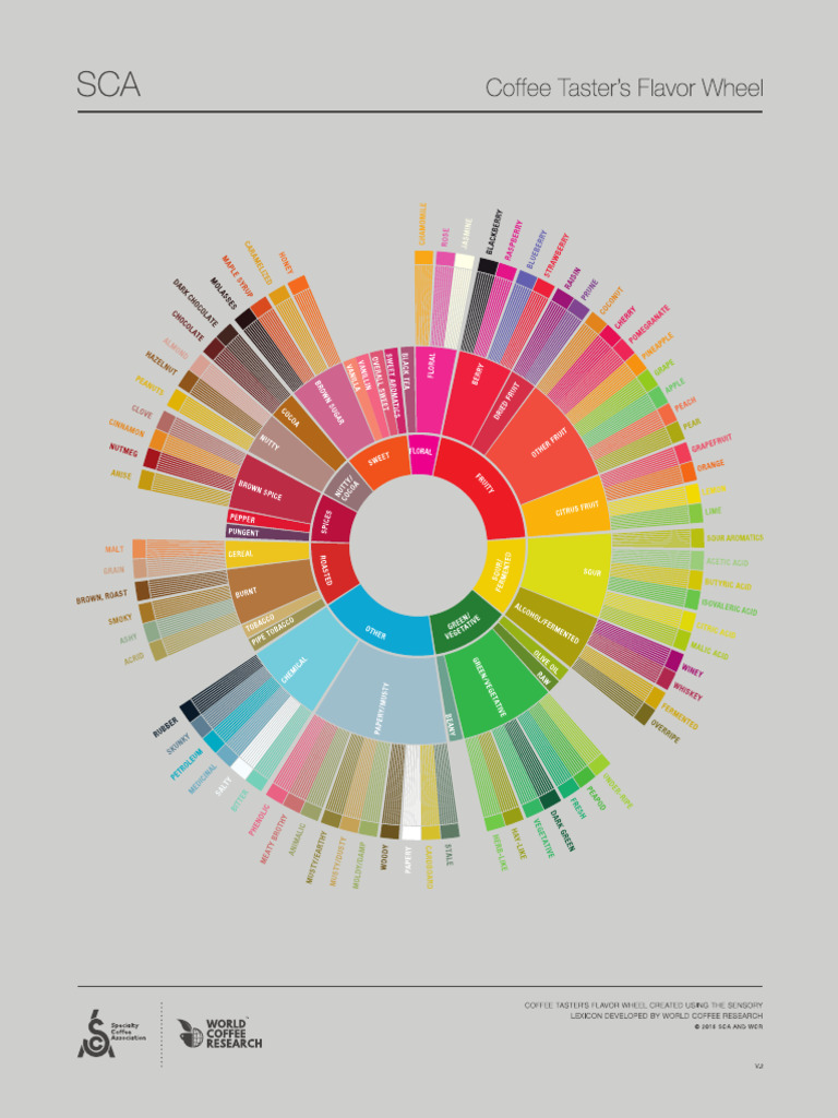 Flavor Wheel | PDF
