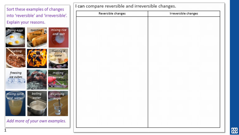 Reversible vs Irreversible Changes Explained | PDF