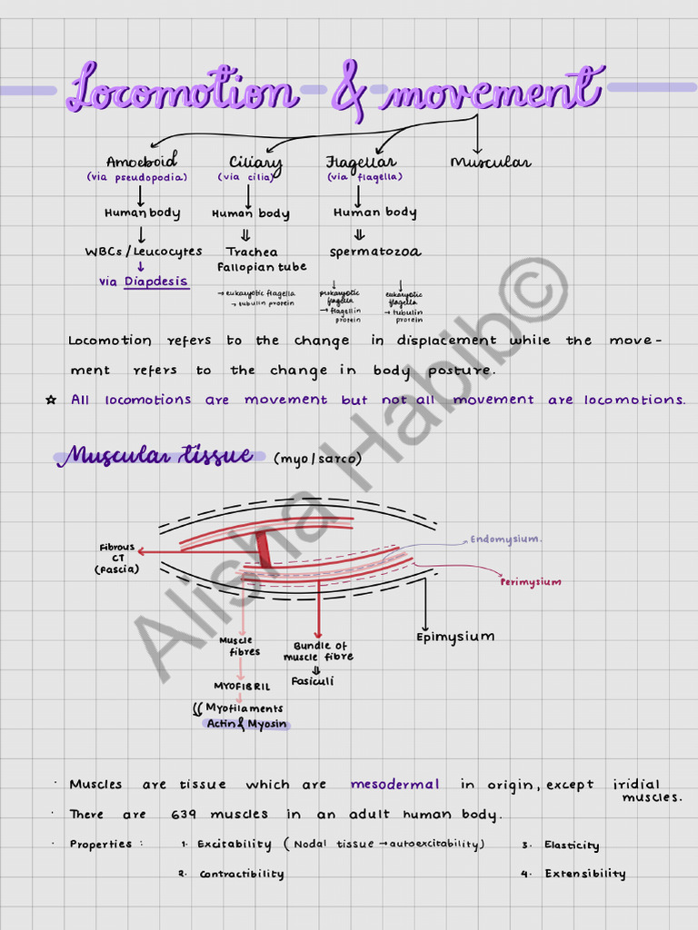 Locomotion & Movement - 240924 - 111417 - Watermark | PDF