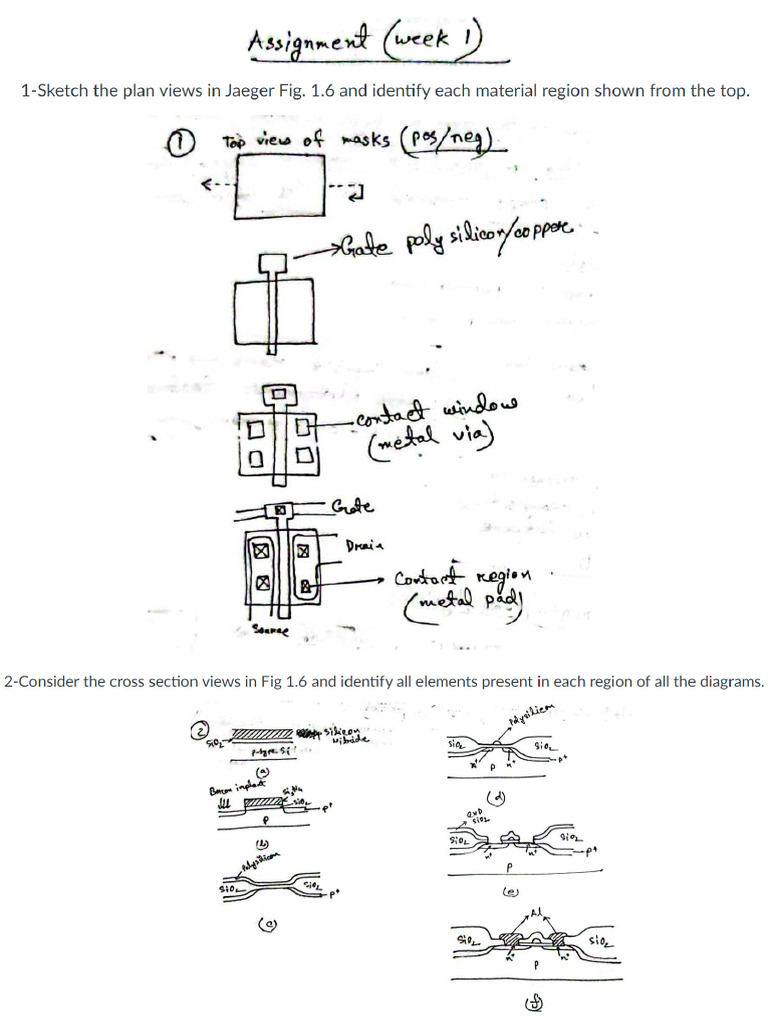 All Assignment With Ques | PDF