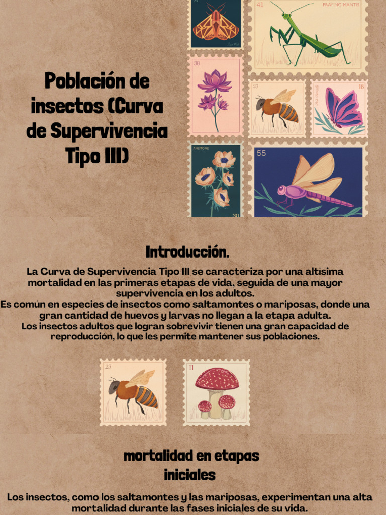 Presentación Insectos y Naturaleza Vintage Beige (1) | PDF