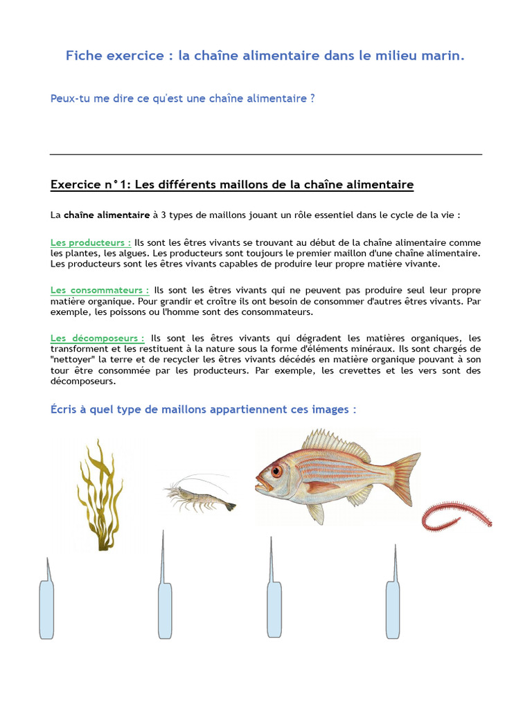 Exercice sur la chaîne alimentaire marine | PDF | Réseau trophique ...