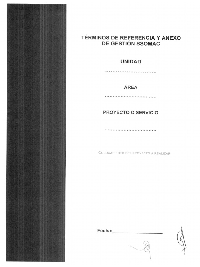 Reg Vol Glo 06 13 - Modelo TDR | PDF