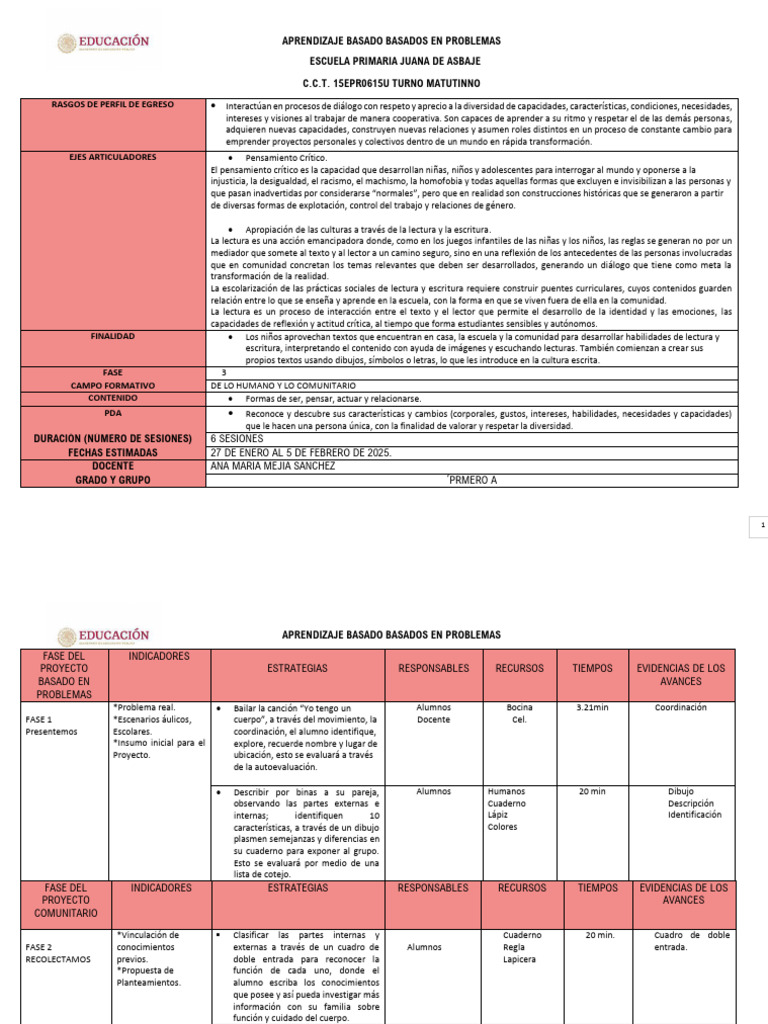 Formato Planeación Aprendizaje Basado en Problemas | PDF | Aprendizaje | Escuelas