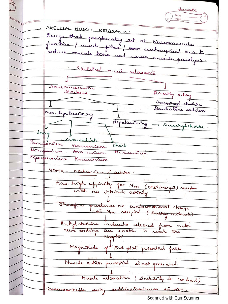 Pharmacology - CNS 2 | PDF