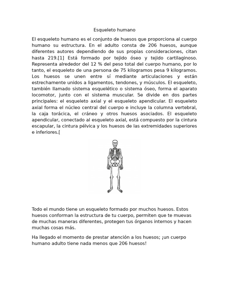 Esqueleto Humano | PDF
