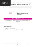 Exemple Dossier Professionnel Rempli Transport en Commun | PDF | Véhicules | Microsoft Word
