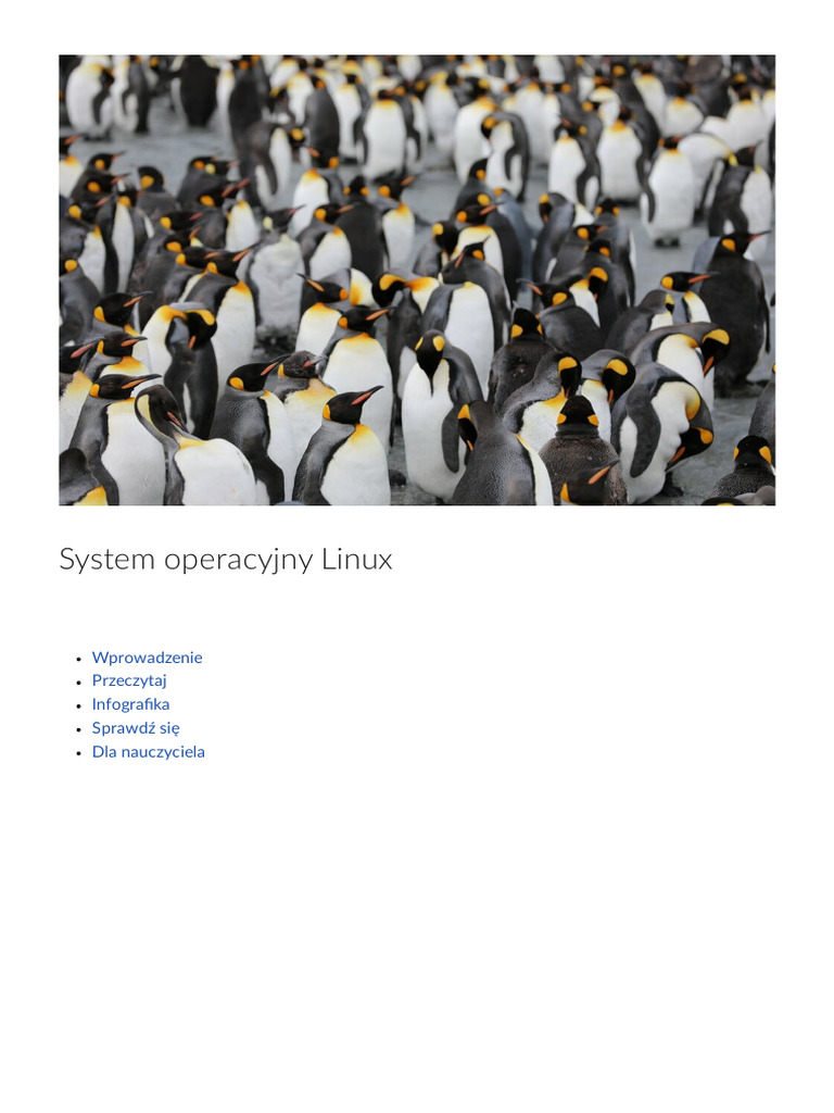 System_operacyjny_Linux | PDF