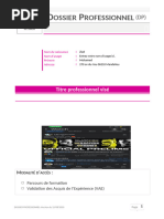 Dossier Professionnel : Guide Complet | PDF