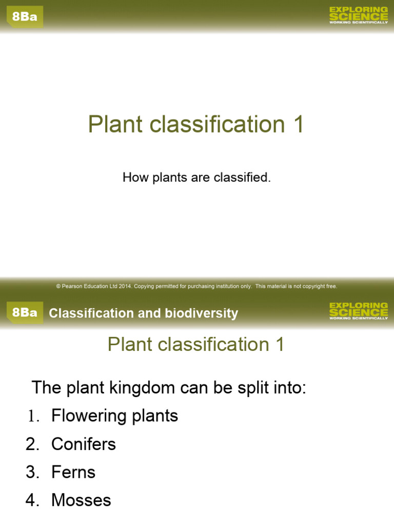 Plant Classification | PDF
